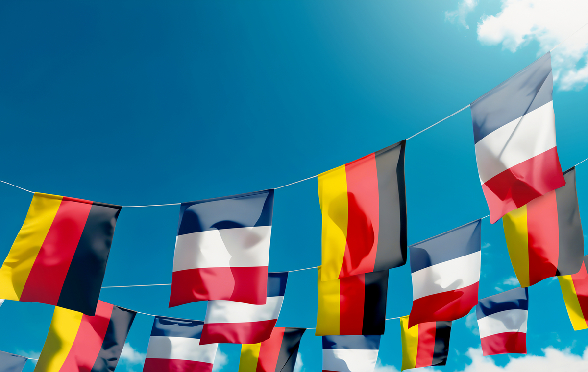 German Council of Economic Experts: Decarbonising road freight transport